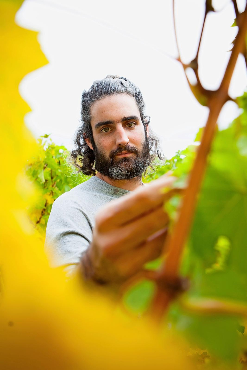Guy Krier, nouveau président des vignerons indépendants luxembourgeois